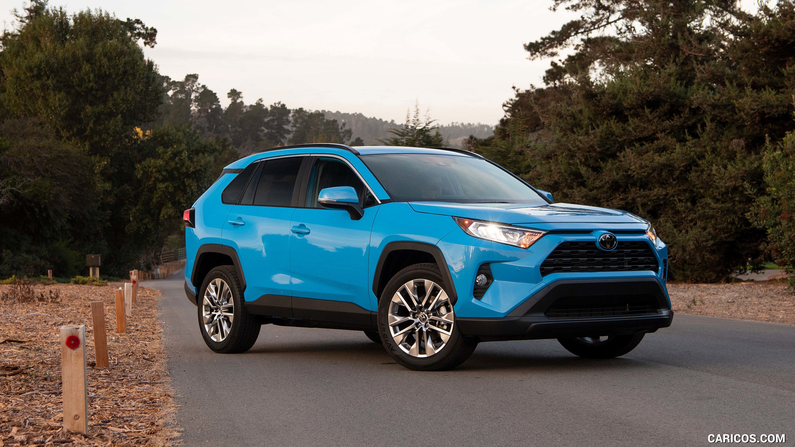 Adesivi per Toyota una collezione di DualColorStampe